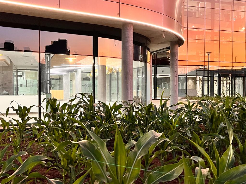 Rawlins Wales & Partners – Electrical Consultants